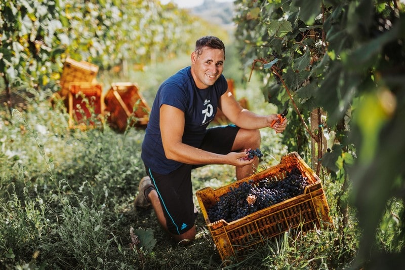 Vinařství Vinakoper - OchutnejteSlovinsko.cz