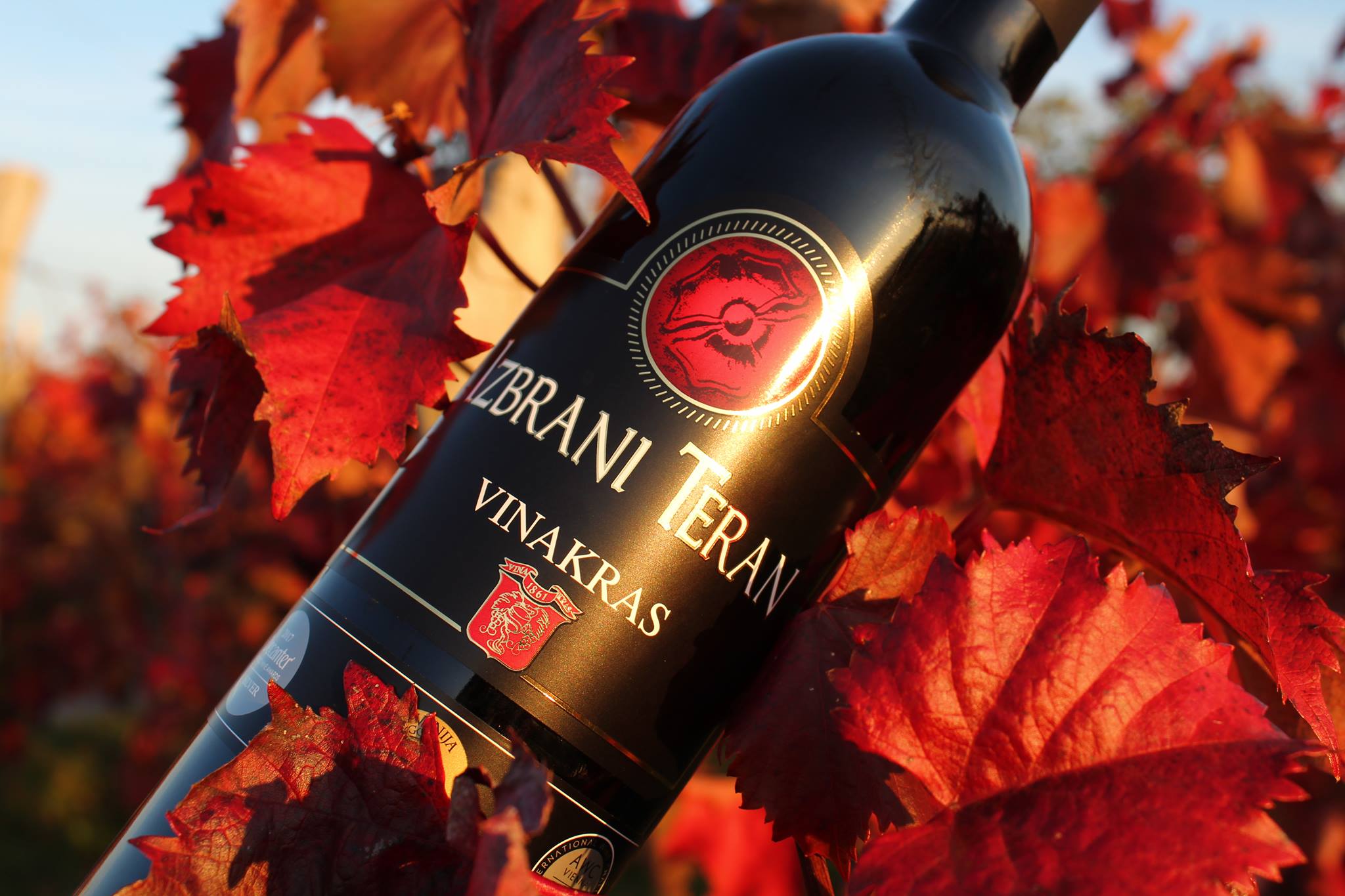 Vina Kras - slovinské vinařství z oblasti Primorsk