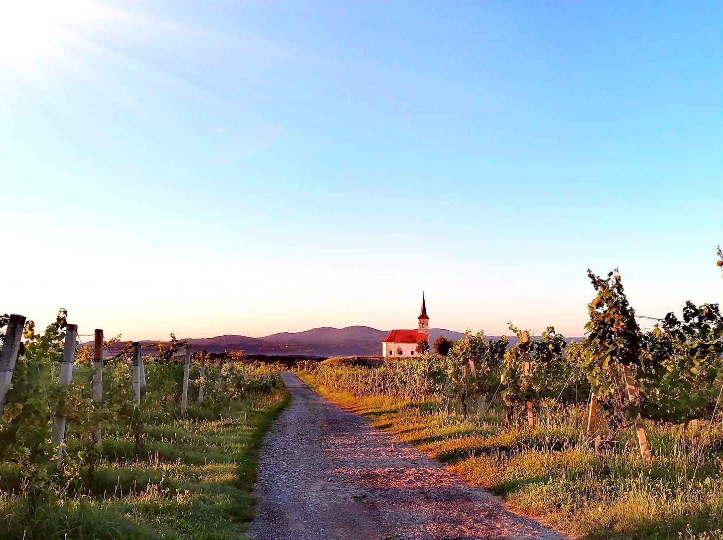 Vinařství Klet Metlika - OchutnejteSlovinsko.cz